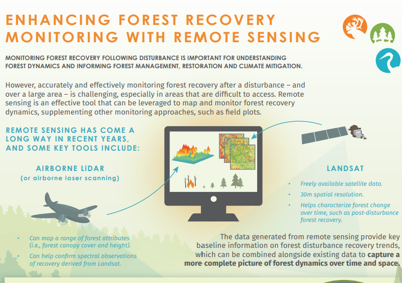 Enhancing Forest Recovery Monitoring With Remote Sensing | Canadian Conservation and Land ...